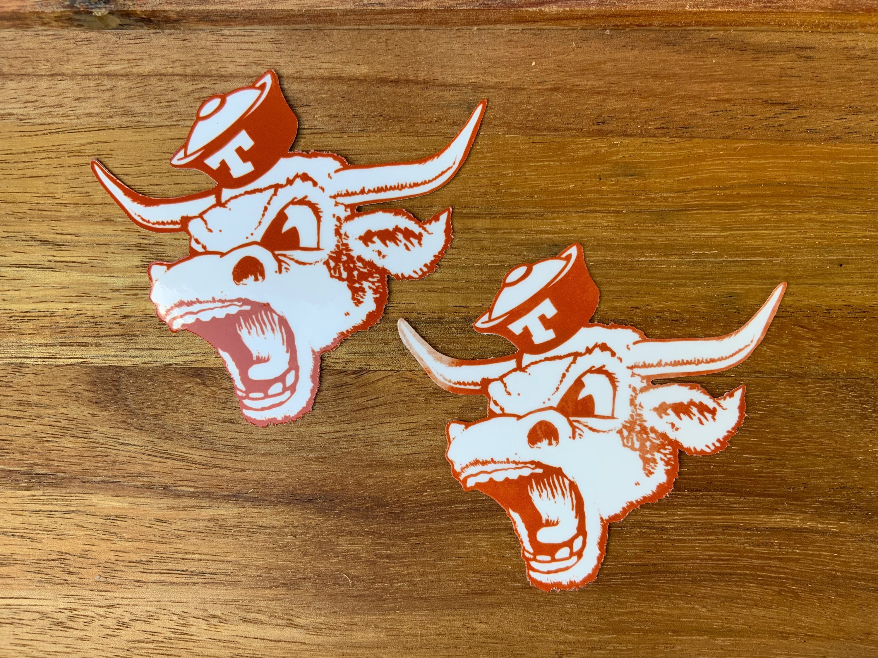 Texas Longhorns Mascot