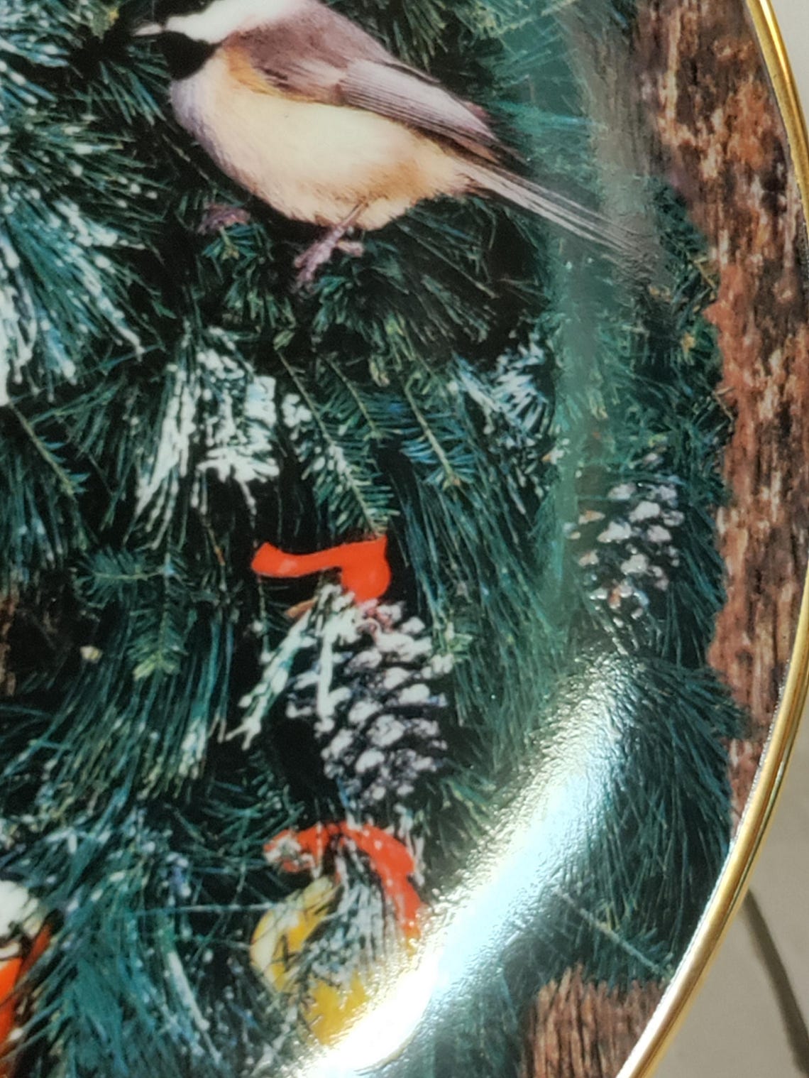 8" Decorator Plate Song Birds of Winter Blue Bird Excellent Condition ...