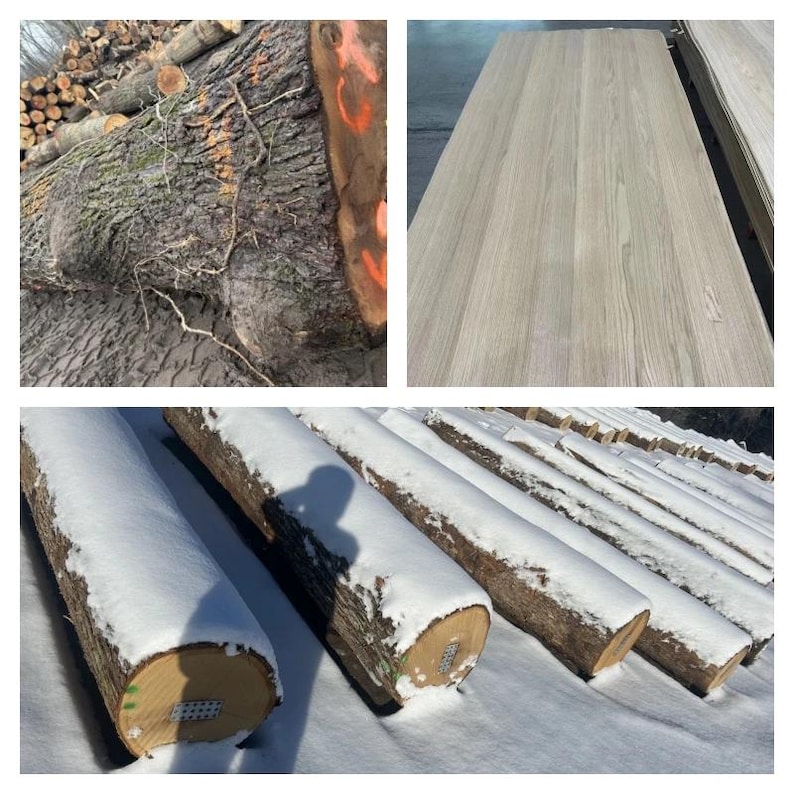 Reconstituted Maple Burl Wood Veneer, Golden for DIY Craft Project ...