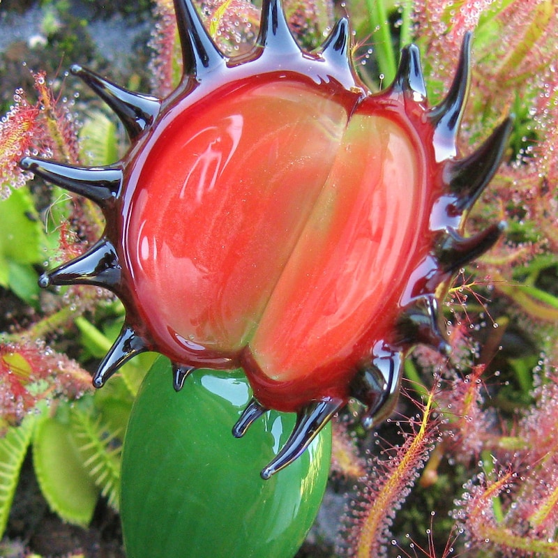 Fake Stake - Etsy Australia