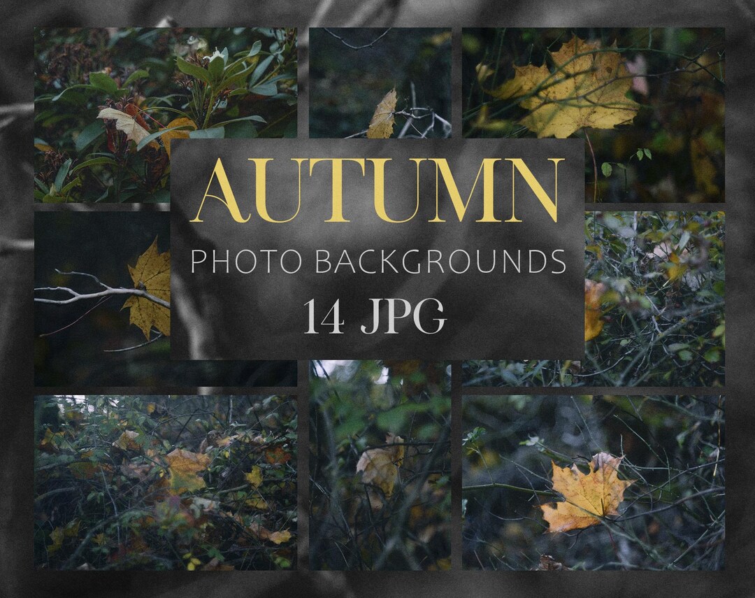 14 Autumn Photos – High Resolution Fall Foliage Backgrounds - Etsy