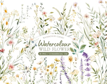 Watercolor Wildflower Clipart Bundle – Pastel Field Flowers and Frames ...