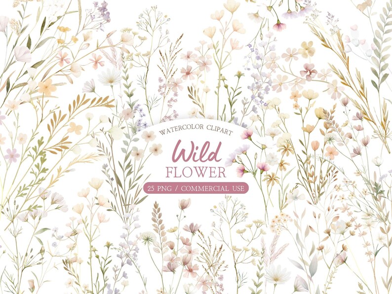 Pastel Wildflower Clipart Bundle – Floral Borders and Wreath Frames ...