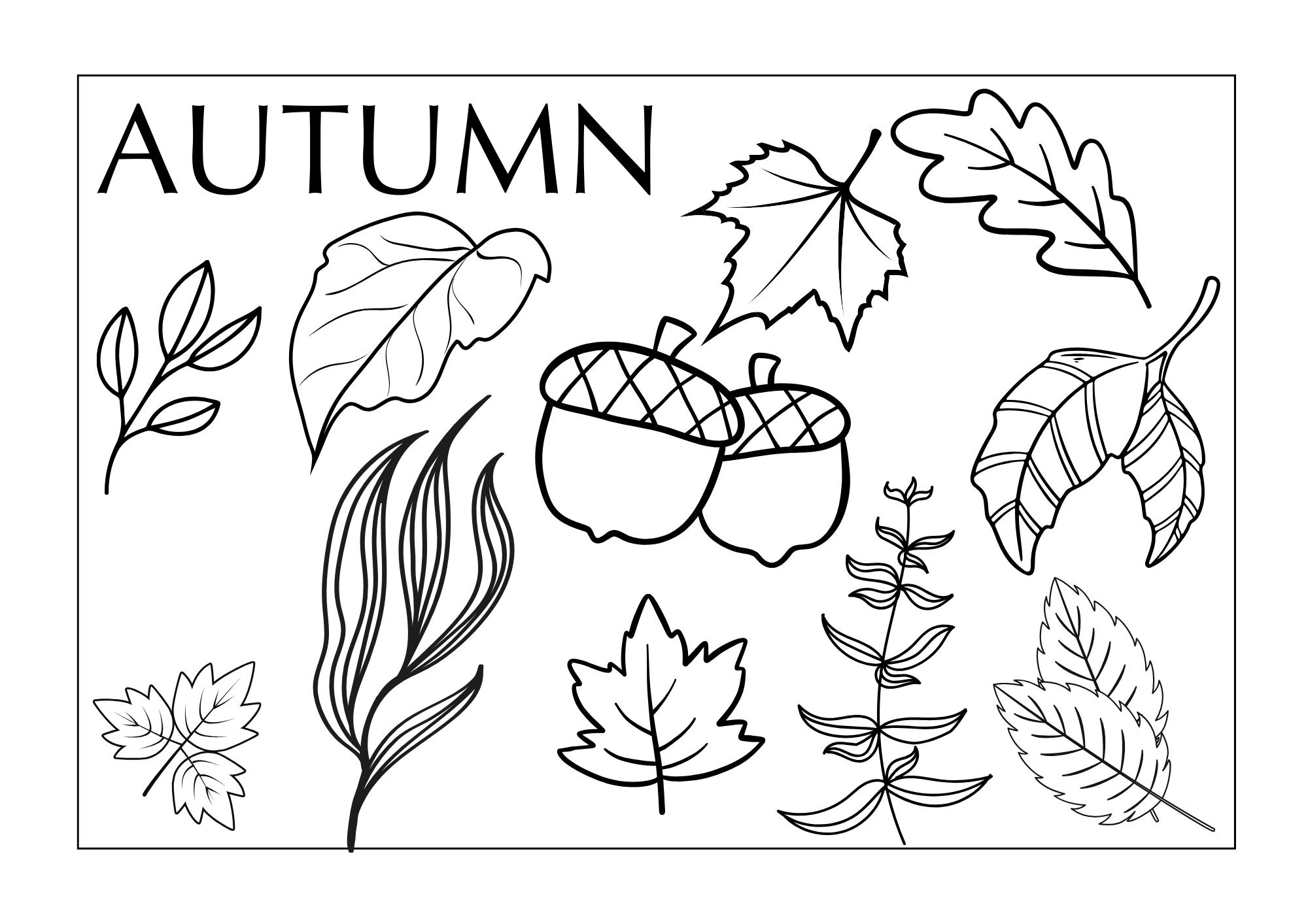 Autumn Coloring Page | Fall Leaves Printable Activity for Kids & Adults ...
