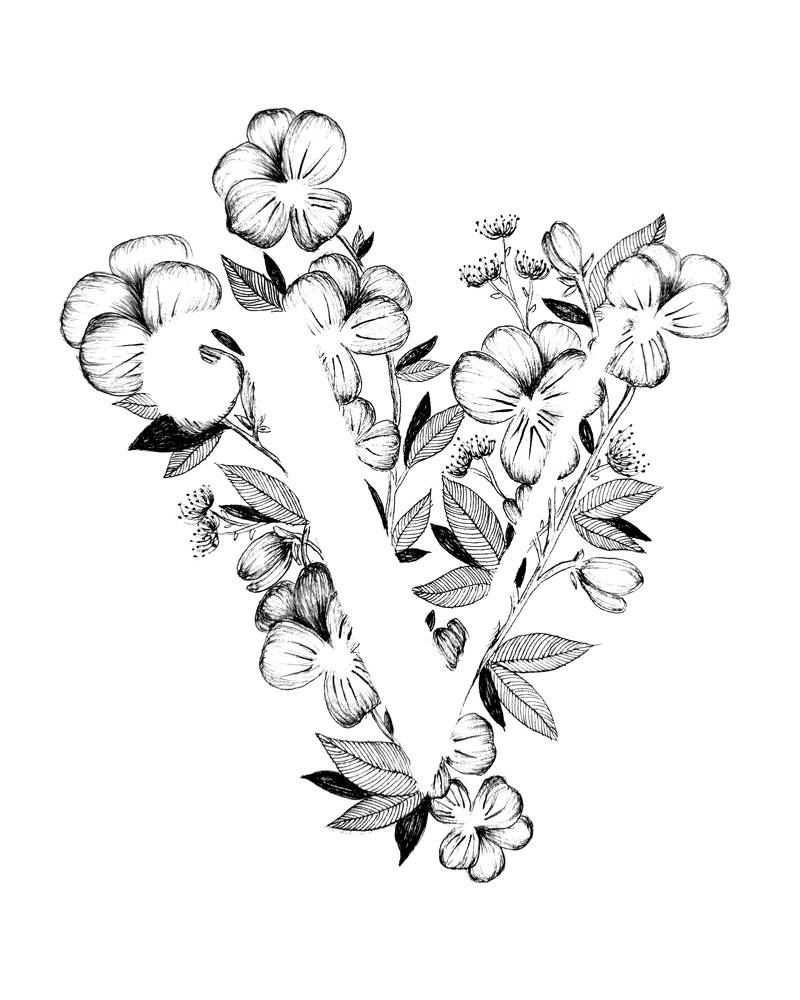 Letter V Print - Alphabet, Calligraphy, Typography, Monogram, Flowers ...