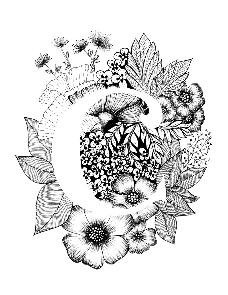 Letter C Print - Alphabet, Calligraphy, Typography, Monogram, Flowers ...