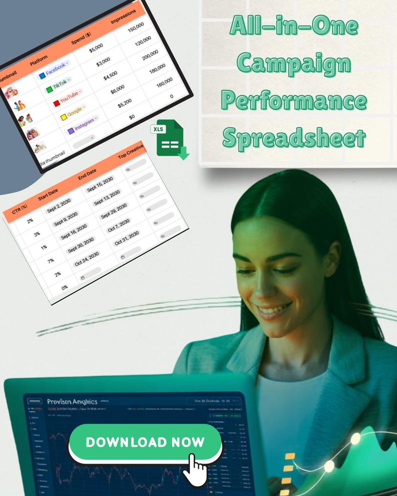 All-in-one Campaign Performance Spreadsheet Template – Excel and Google ...