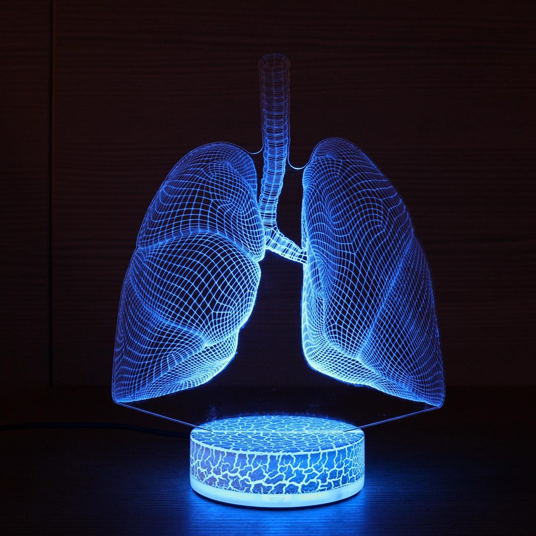 Pulmonologist Gift 3D Lungs Light Lungs Led Lamp Lungs Gift Lungs Light ...