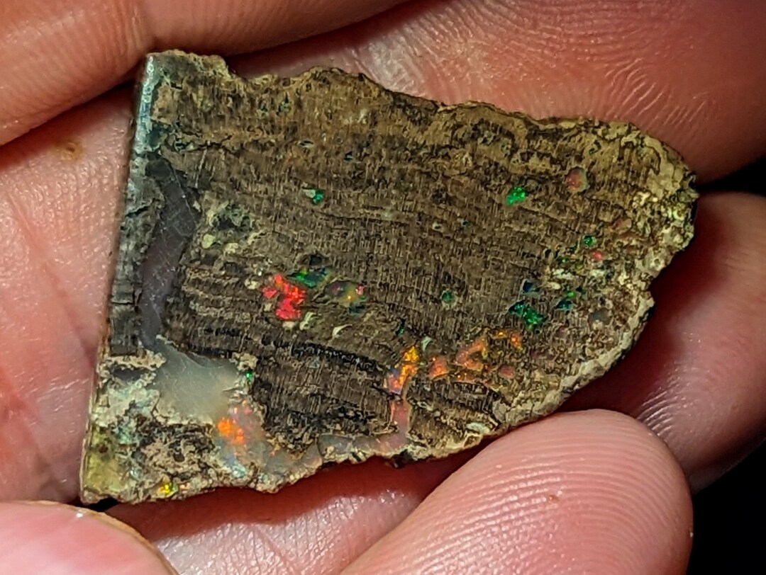 Virgin Valley Nevada Conk Wood Opal 23 Ct. Red & Green Color Dots Rare ...