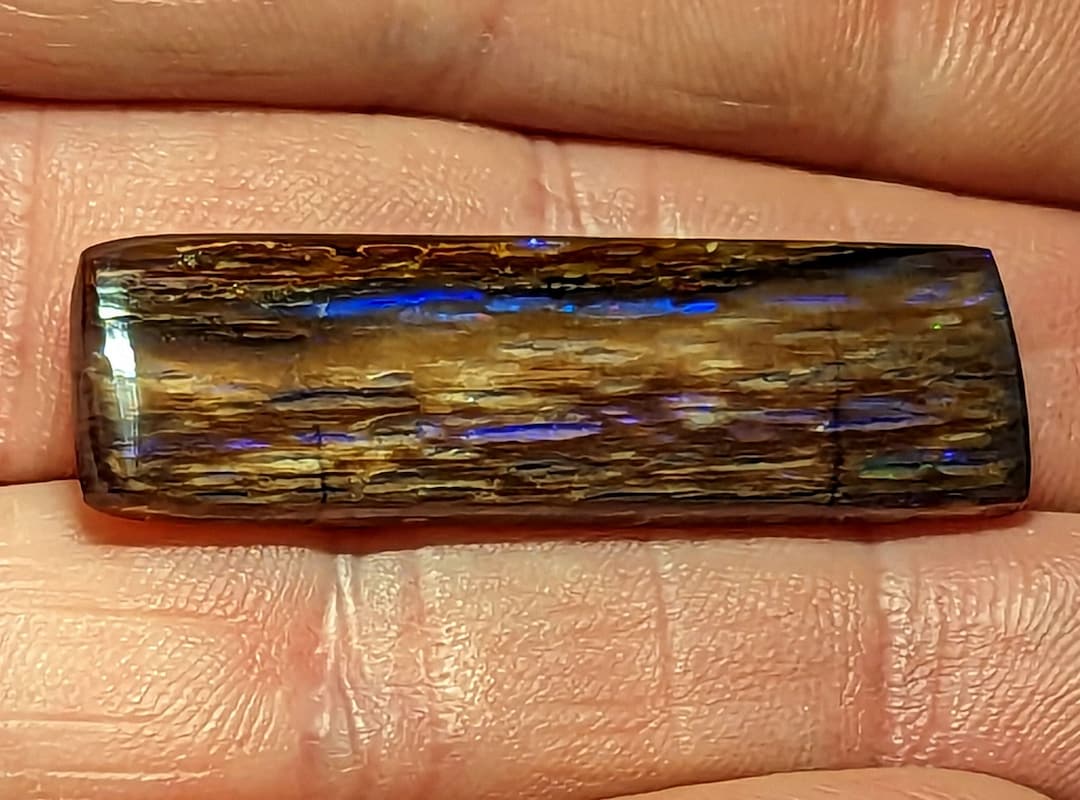 Virgin Valley Nevada Conk Wood Opal - 18.8 Ct.- Rare Material - Etsy