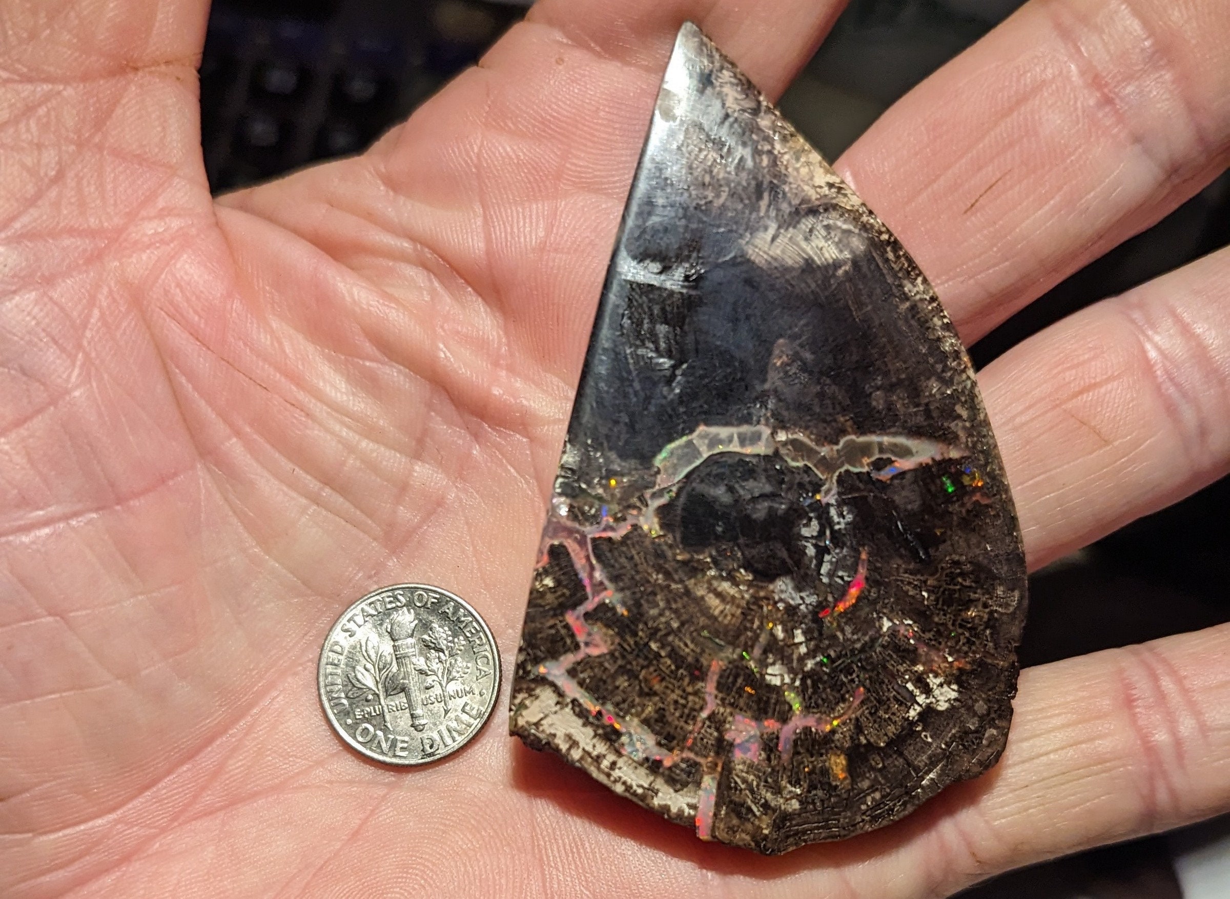 111 Ct. Virgin Valley Nevada Wood Conk Opal 75 X 45 Mm - Etsy UK