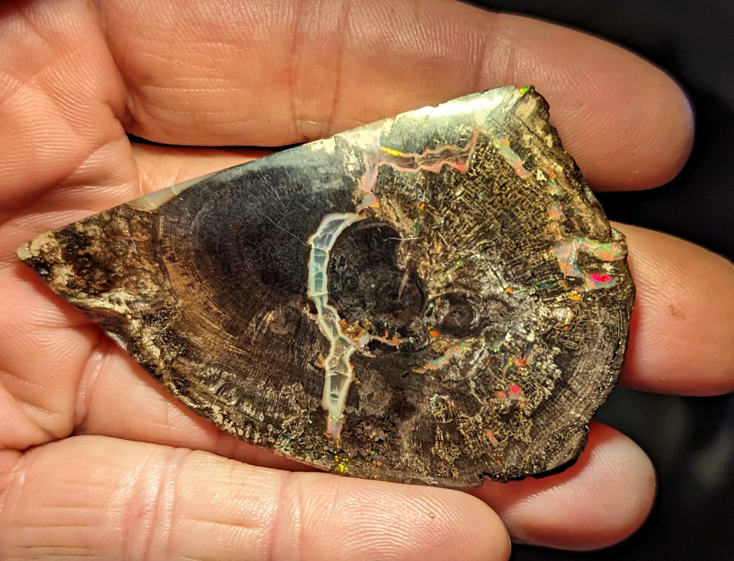 111 Ct. Virgin Valley Nevada Wood Conk Opal 75 X 45 Mm - Etsy UK