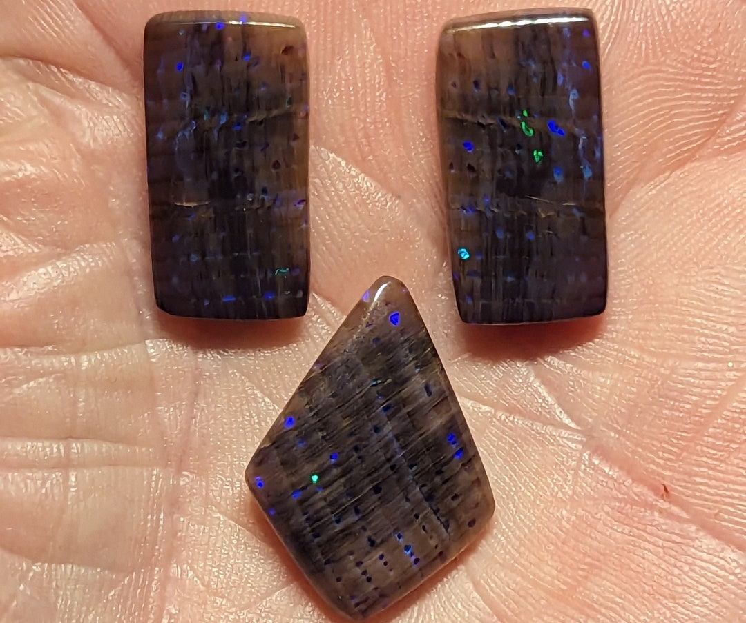 Three Virgin Valley Nevada Conk Wood Opals - 30 Ct.- Rare Material - Etsy