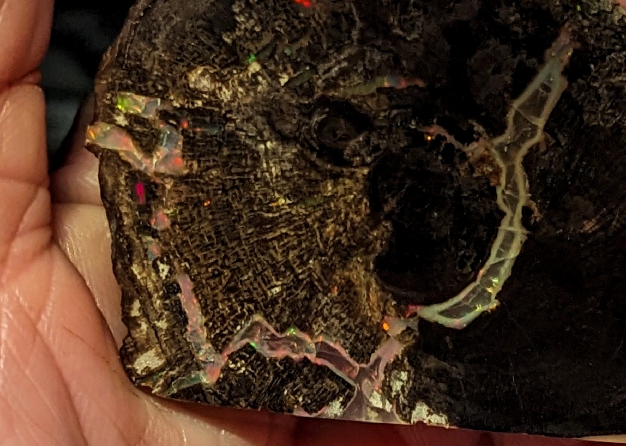 111 Ct. Virgin Valley Nevada Wood Conk Opal 75 X 45 Mm - Etsy UK