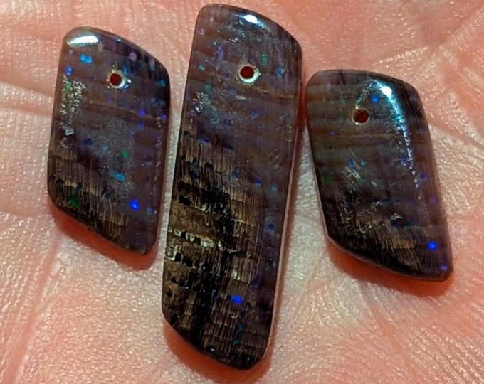 Three Virgin Valley Nevada Conk Wood Opals - 13.7 Ct.- Rare Material - Etsy