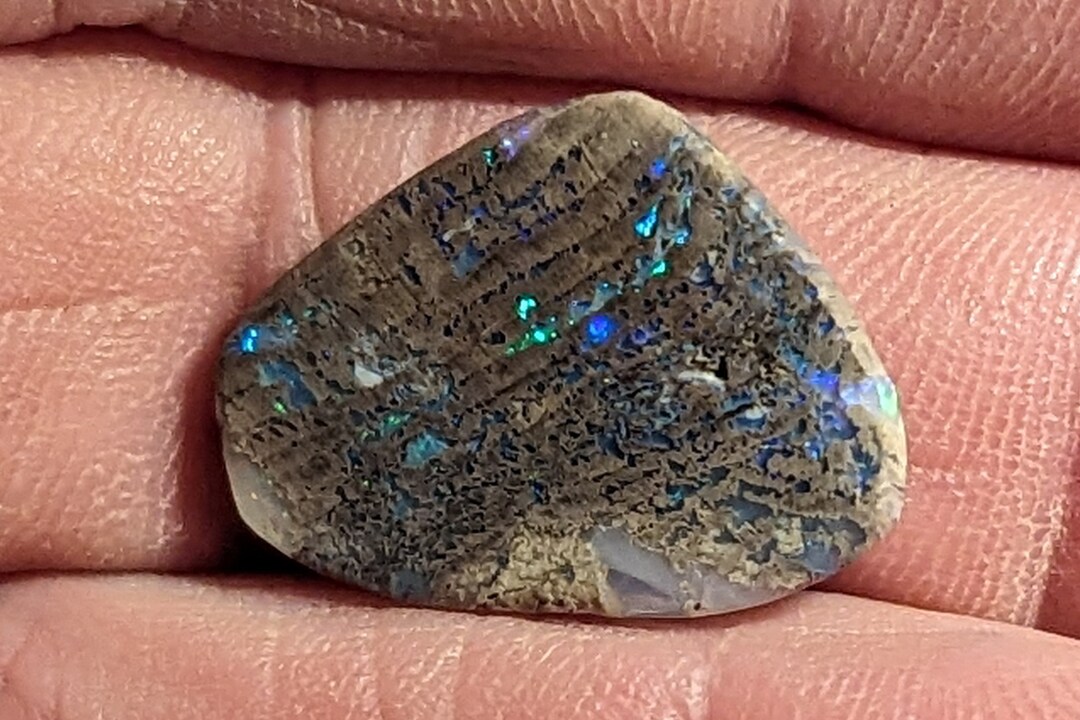 Virgin Valley Nevada Conk Wood Opal 5.5 Ct. Rare Material - Etsy