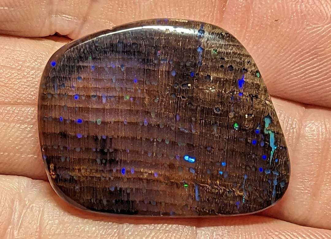 Virgin Valley Nevada Conk Wood Opal 29.5 Ct. Double Sided - Etsy