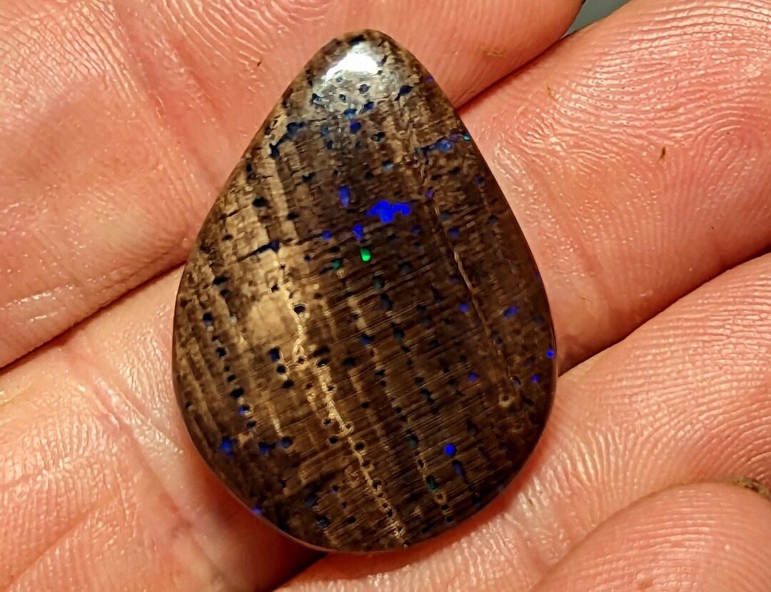 Virgin Valley Nevada Conk Wood Opal 20.7 Ct. Double Sided Rare Material ...