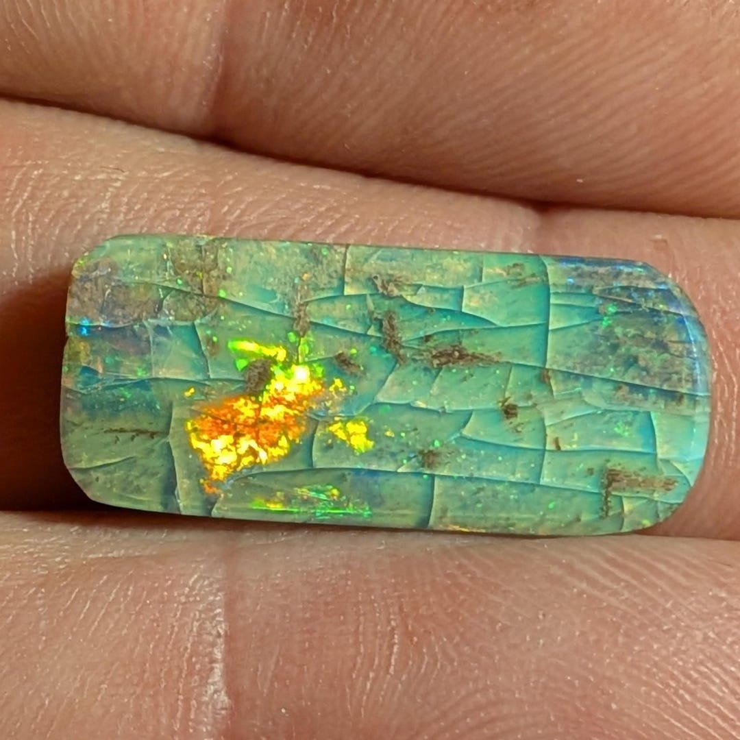 Virgin Valley Nevada Wood Opal - 6.4 Ct.- Nice Colors - Crazing on Opal ...