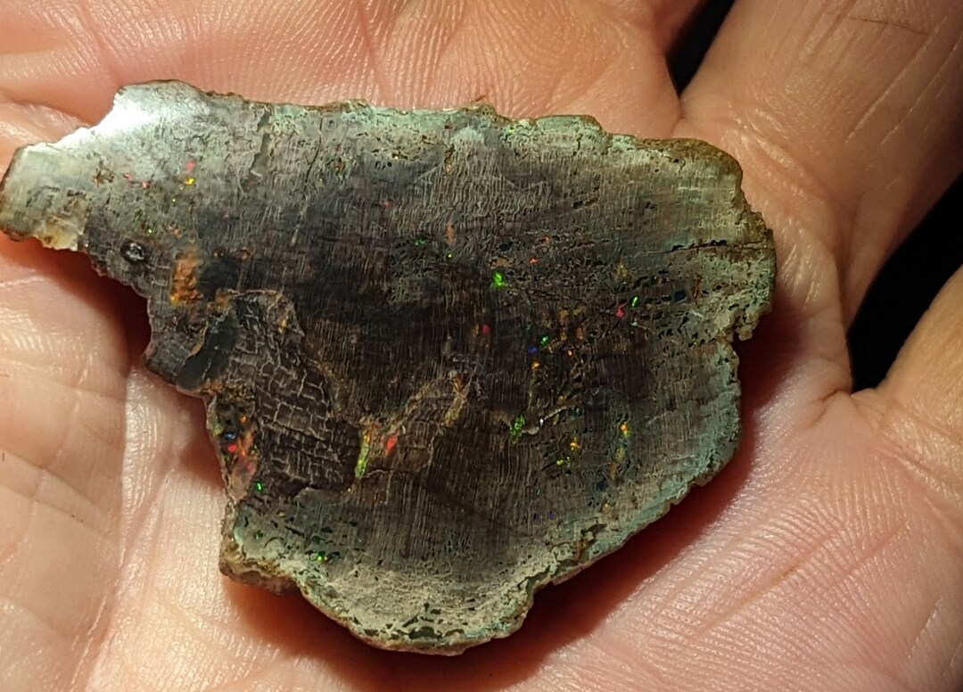 85 Ct. Virgin Valley Nevada Wood Conk Opal 53 X 37 Mm - Etsy UK