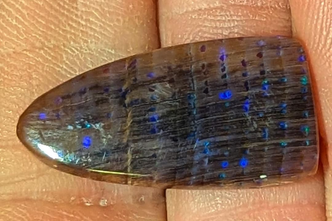 Virgin Valley Nevada Conk Wood Opal - 10.2 Ct.- Rare Material - Etsy