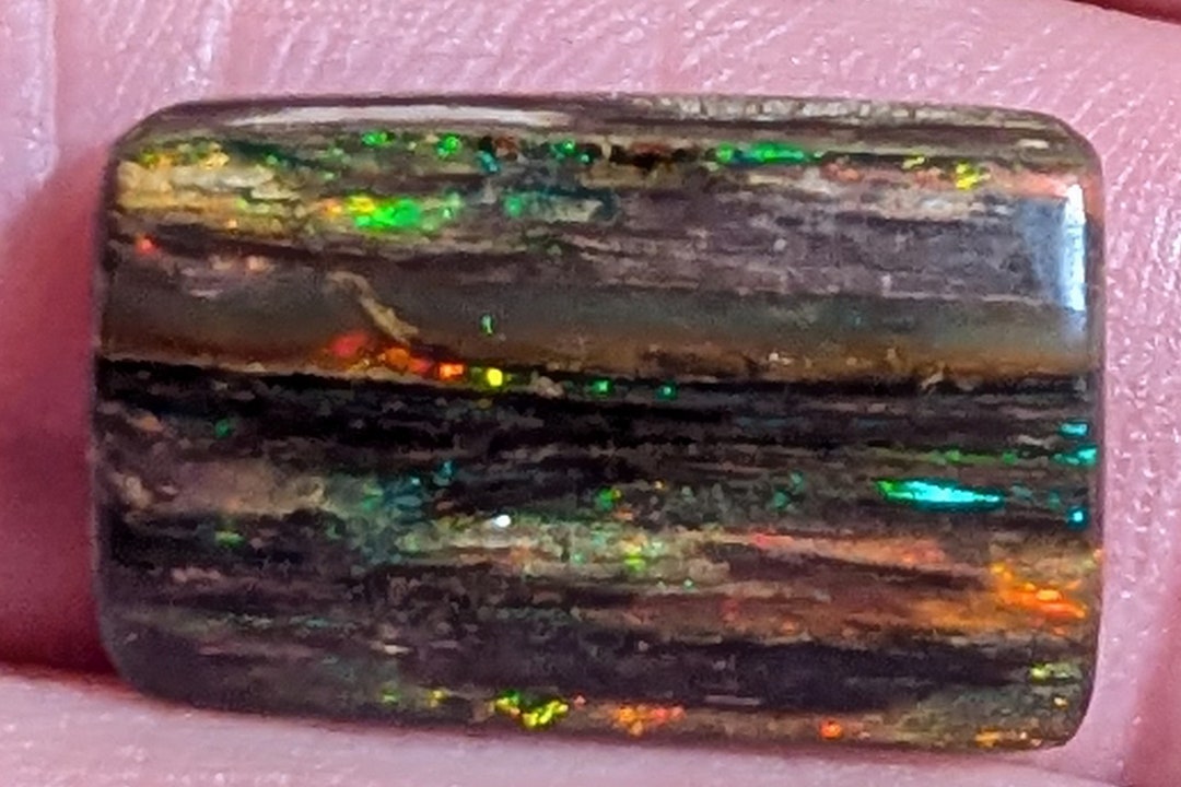 Virgin Valley Nevada Conk Wood Opal - 7 Ct.- Rare Material - Etsy