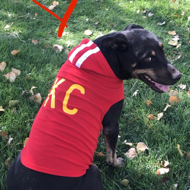 Dog Accessories Kc Chiefs - Etsy