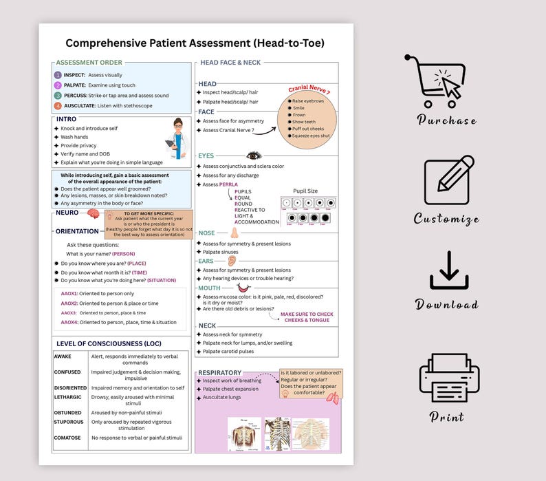 Comprehensive Patient Assessment | Head-to-toe Nursing Cheat Sheet | ER ...