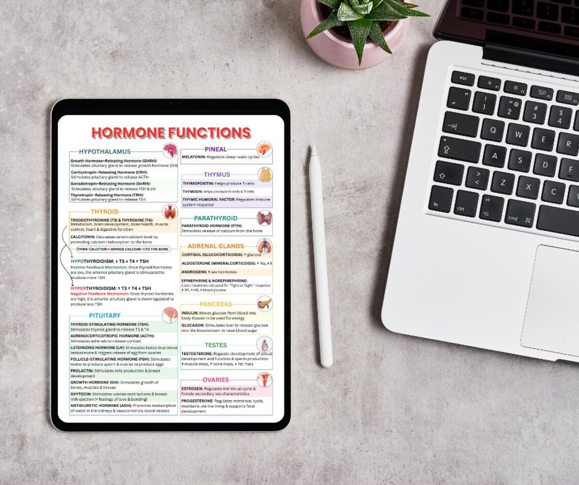 Hormone Functions Cheat Sheet | Endocrine System Guide (printable PDF ...