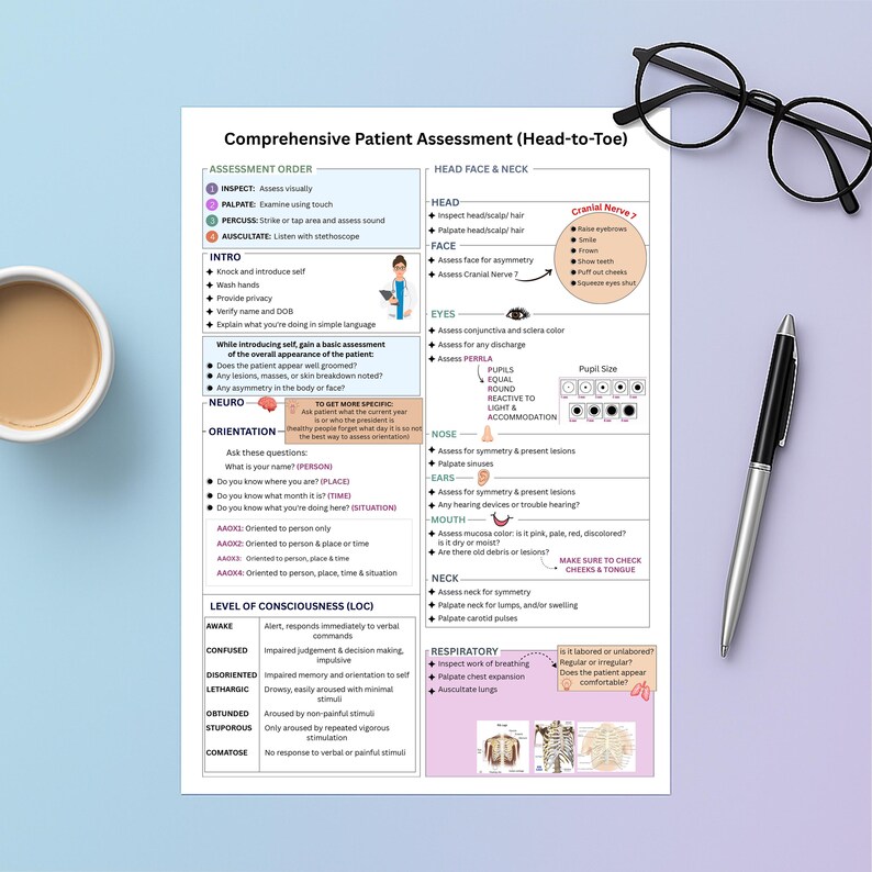 Comprehensive Patient Assessment | Head-to-toe Nursing Cheat Sheet | ER ...
