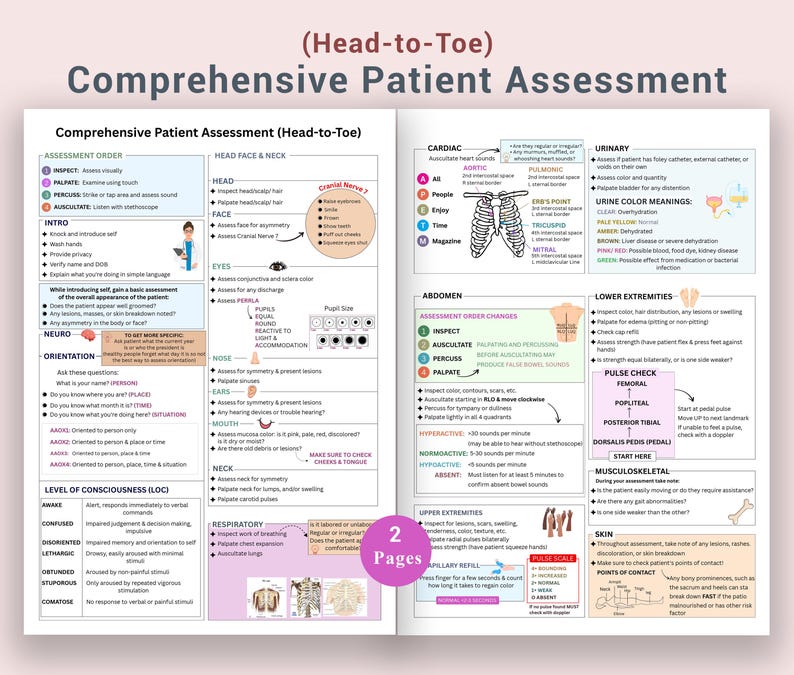 Comprehensive Patient Assessment | Head-to-toe Nursing Cheat Sheet | ER and Nursing Student ...