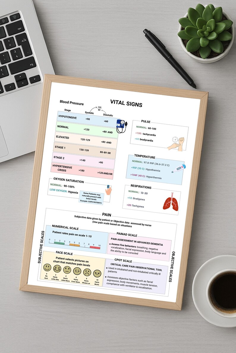 Nursing Vital Signs Log & Pain Assessment Chart (editable Canva File ...