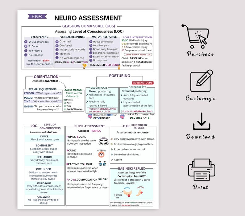 Neuro ICU Assessment Sheet: Nursing Report Template (printable PDF) - Etsy