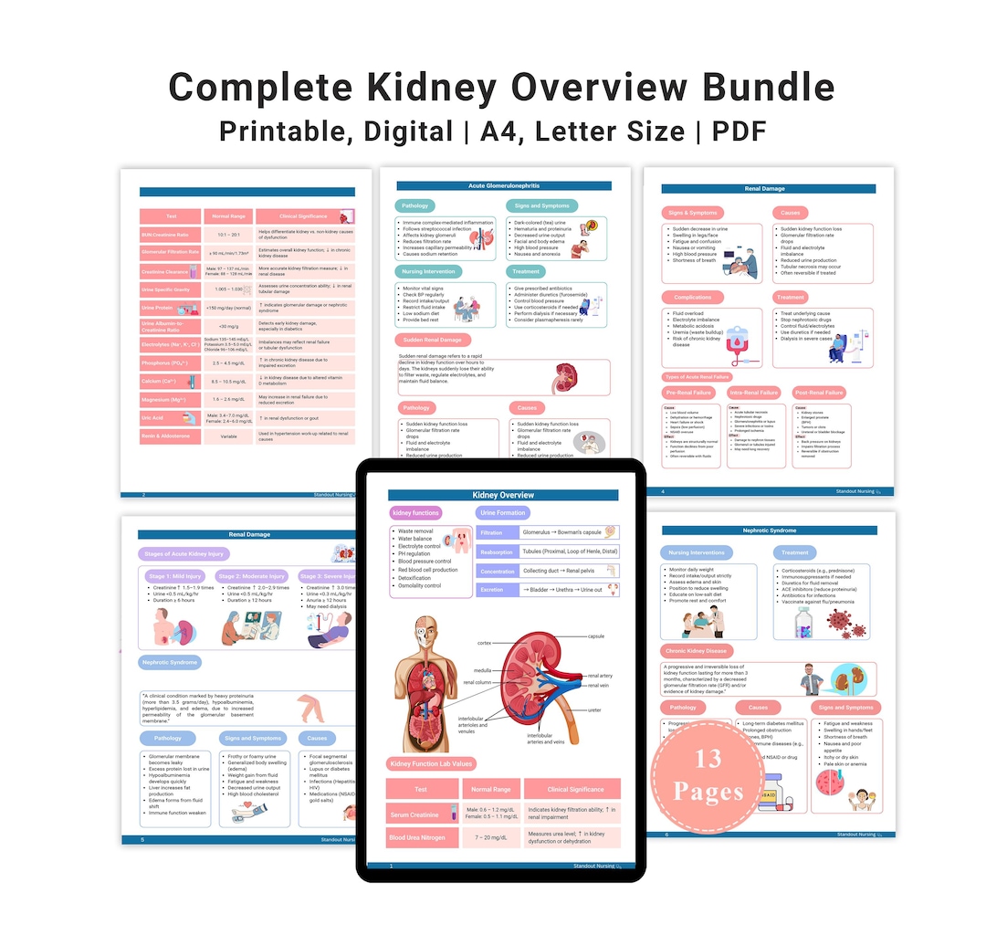 Renal Nursing Study Guide: Kidney Disorders, Dialysis, UTI (PDF) - Etsy