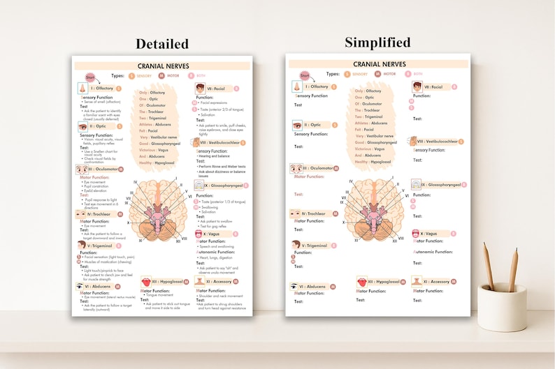 Cranial Nerves Assessment Printable | Nursing Nerve Study Guide Chart ...