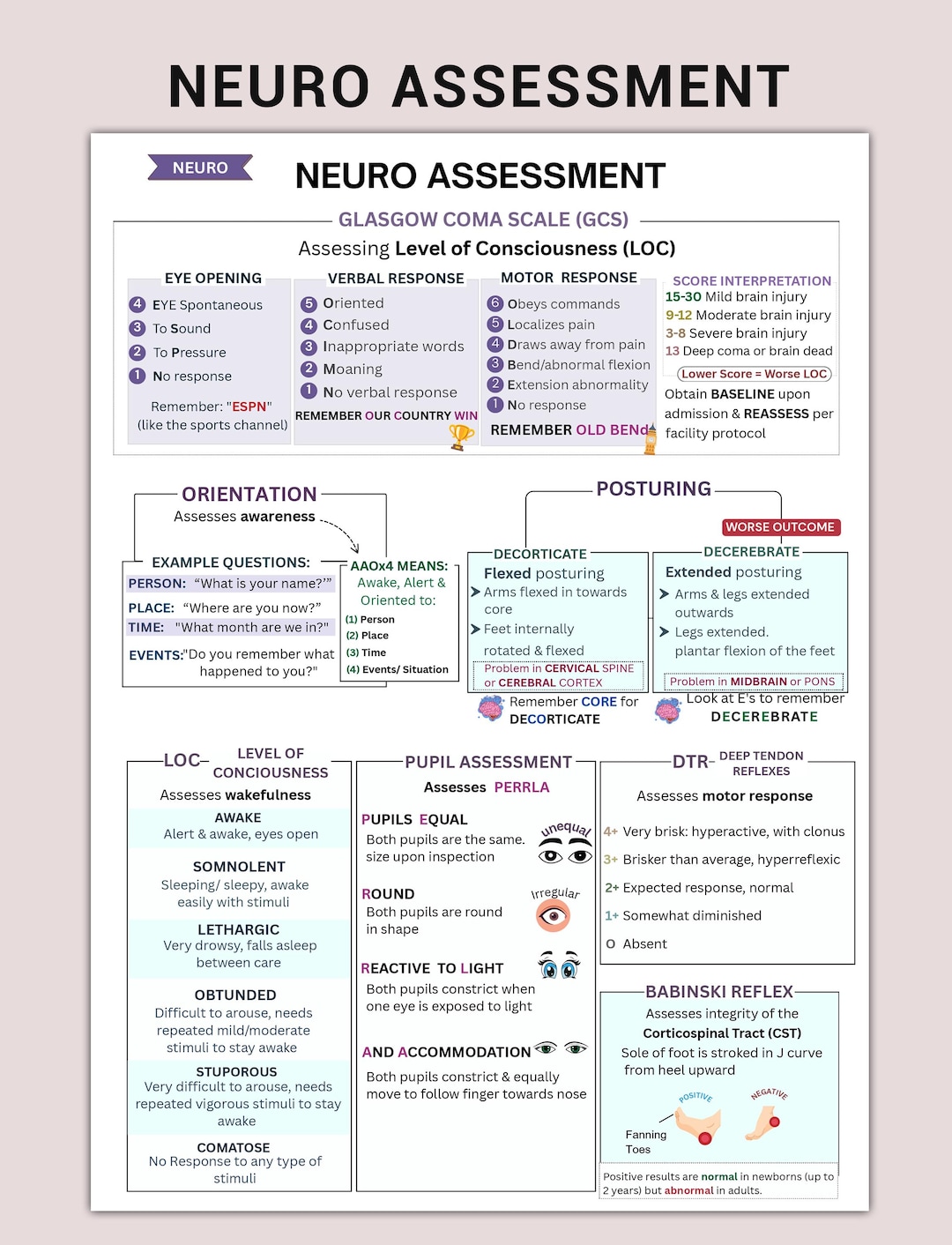 Neuro ICU Assessment Sheet: Nursing Report Template (printable PDF) - Etsy