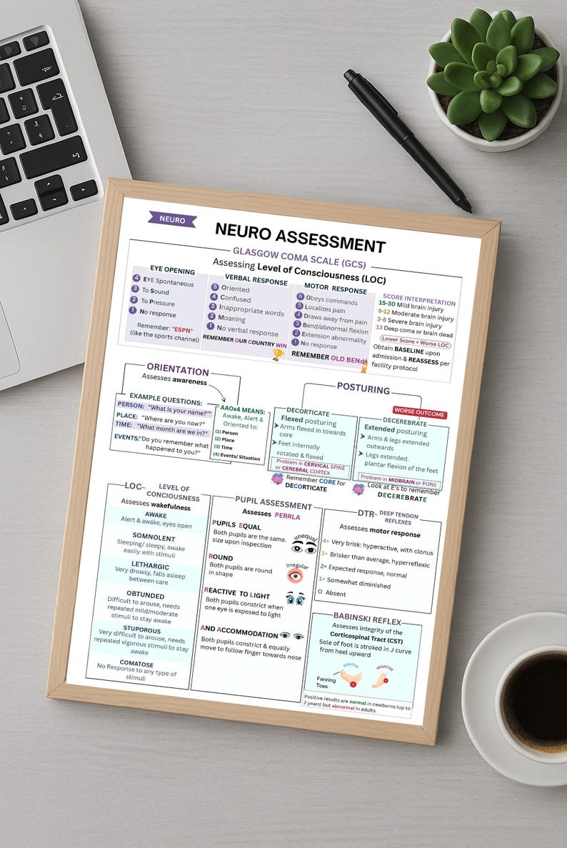 Neuro ICU Assessment Sheet: Nursing Report Template (printable PDF) - Etsy