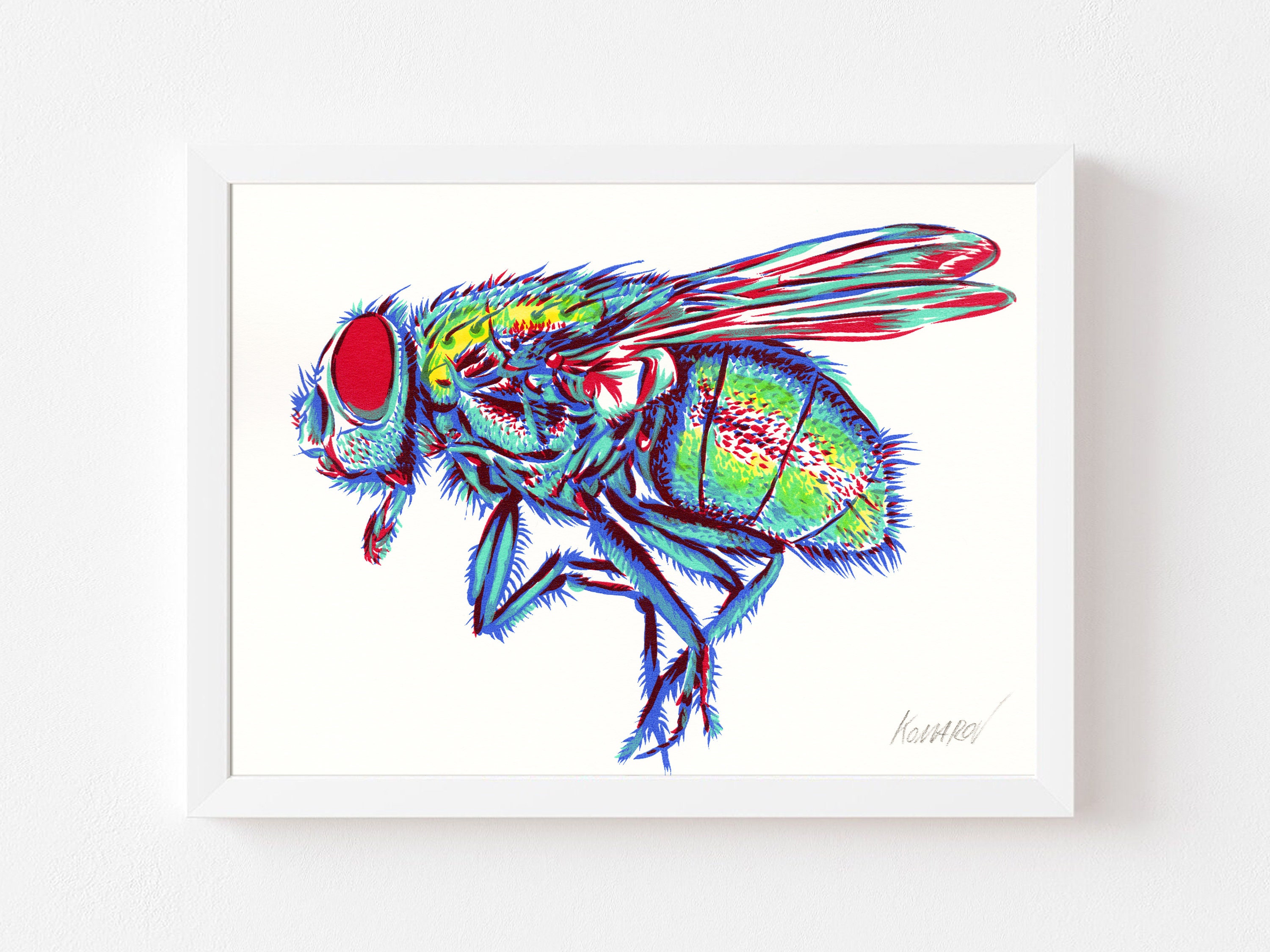Fly Paintings