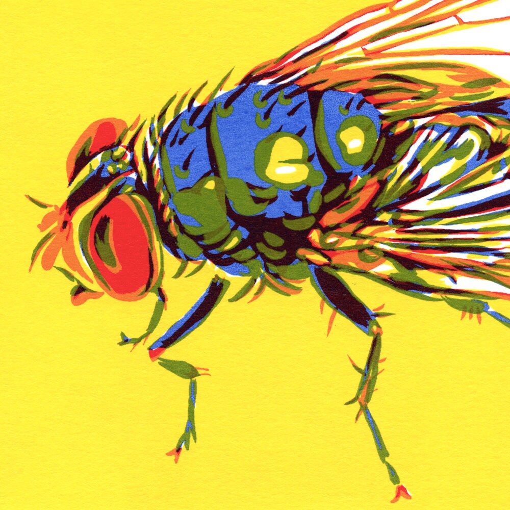 Blue bottle fly painting Insect artwork Colorful insect | Etsy
