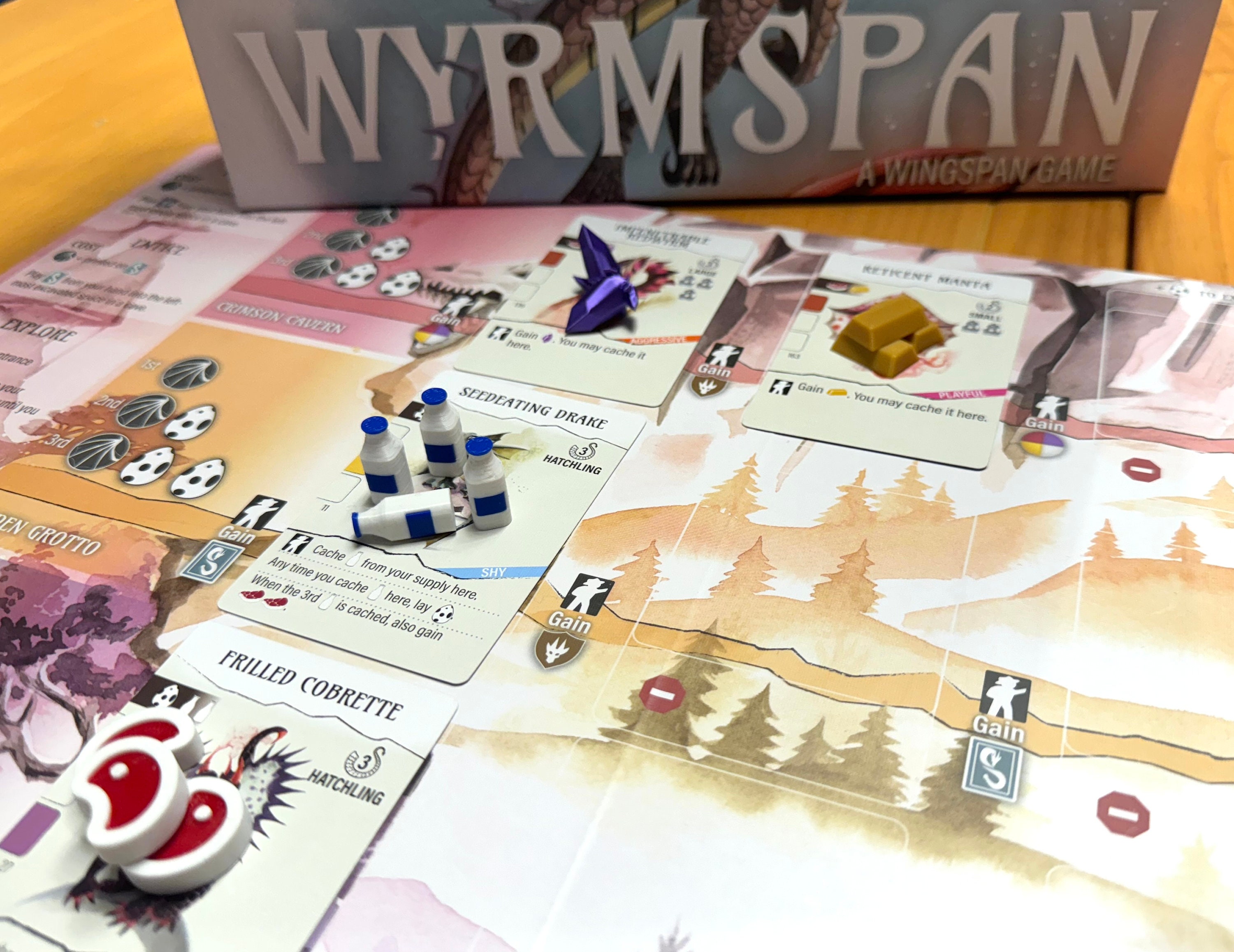 Wyrmspan Resource Tokens Upgrade - Etsy