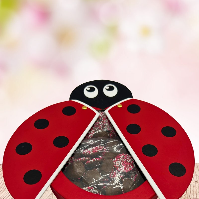 Ladybug Candy - Etsy