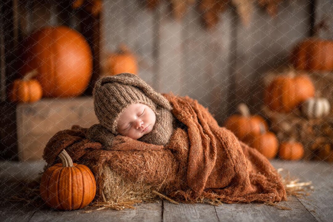 Autumn Pumpkin Newborn Digital Backdrop, Fall Baby Photography Prop ...