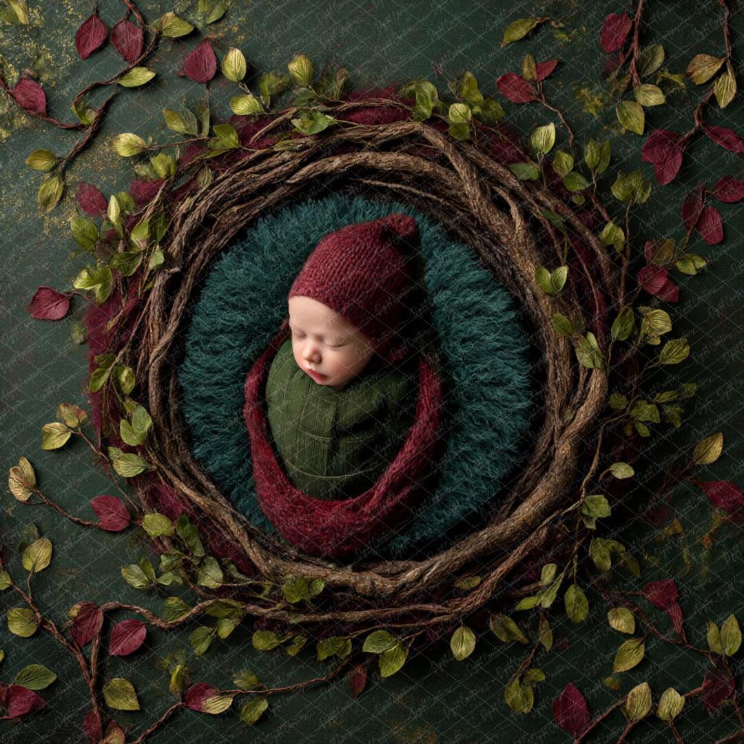 Enchanted Nest Newborn Digital Backdrop, Baby Photography Prop ...