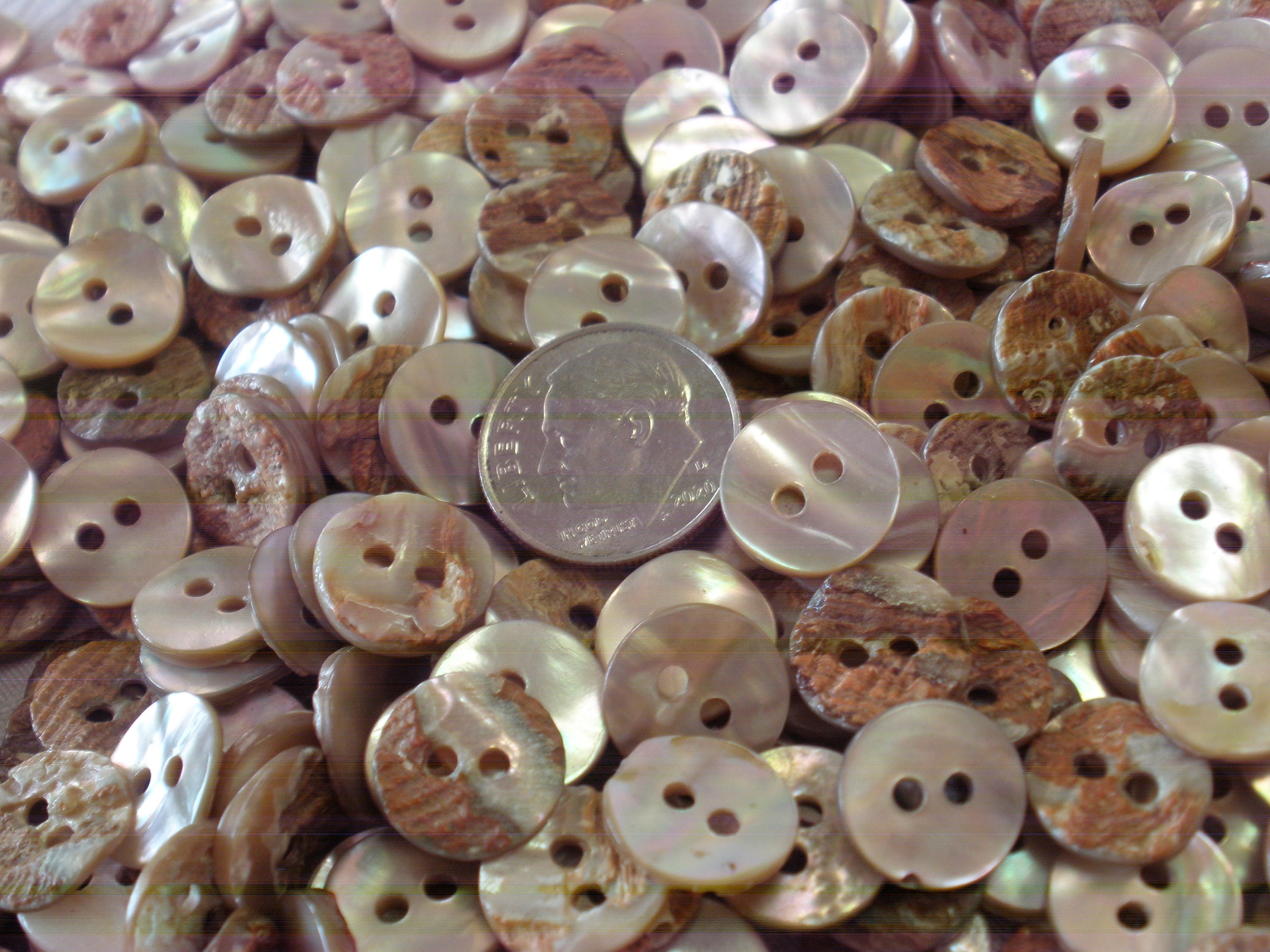 11MM Red Abalone Shell Buttons Natural 7/16" 18L Pearly Rose Rainbow ...