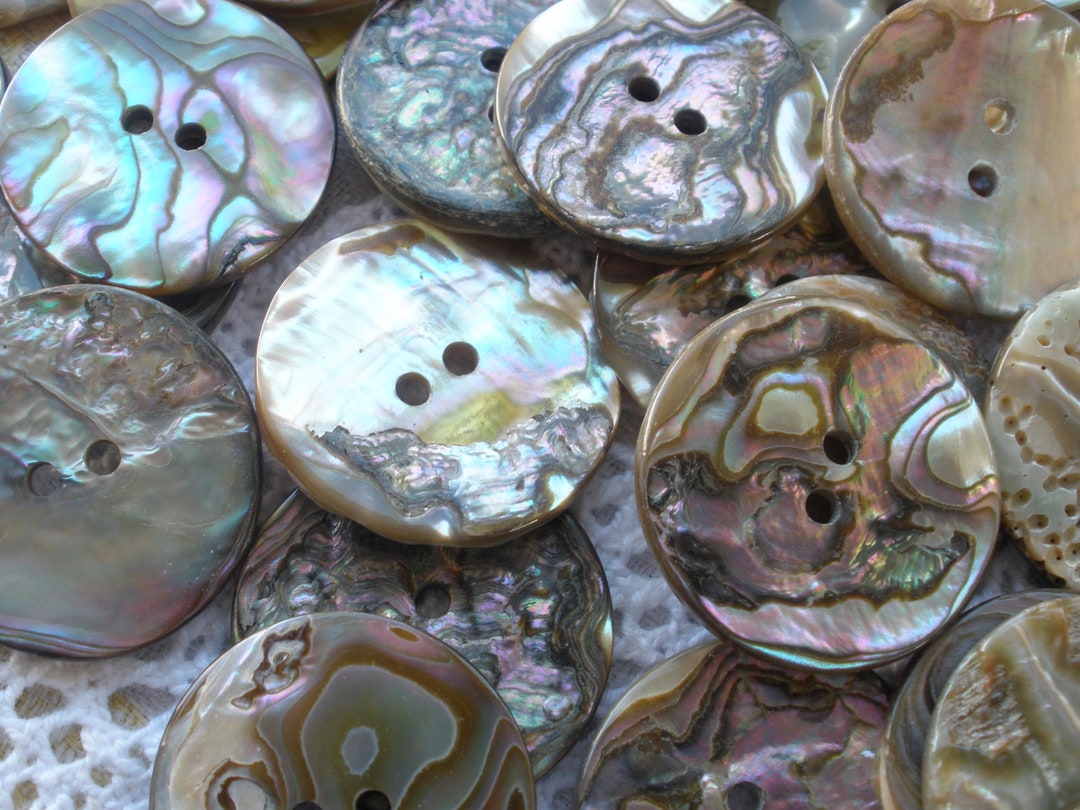25MM Abalone Shell Buttons Natural 1 Inch 40L Pearly Rainbow MOP Sewing ...