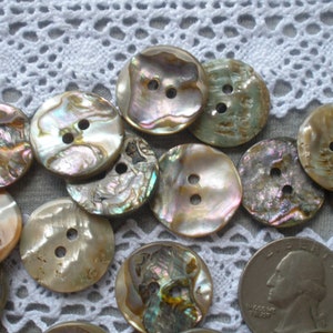 20MM Abalone Shell Buttons Natural 13/16" 32L Pearly Rainbow MOP Sewing ...