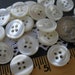 15MM Classic Cool Vintage Shirt Buttons Pearlized Plastic Rim 5/8 24L 4 ...