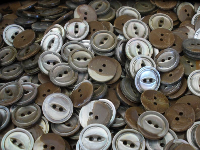 Vintage Carved Real River Shell Buttons Cat's Eye Gray - Etsy