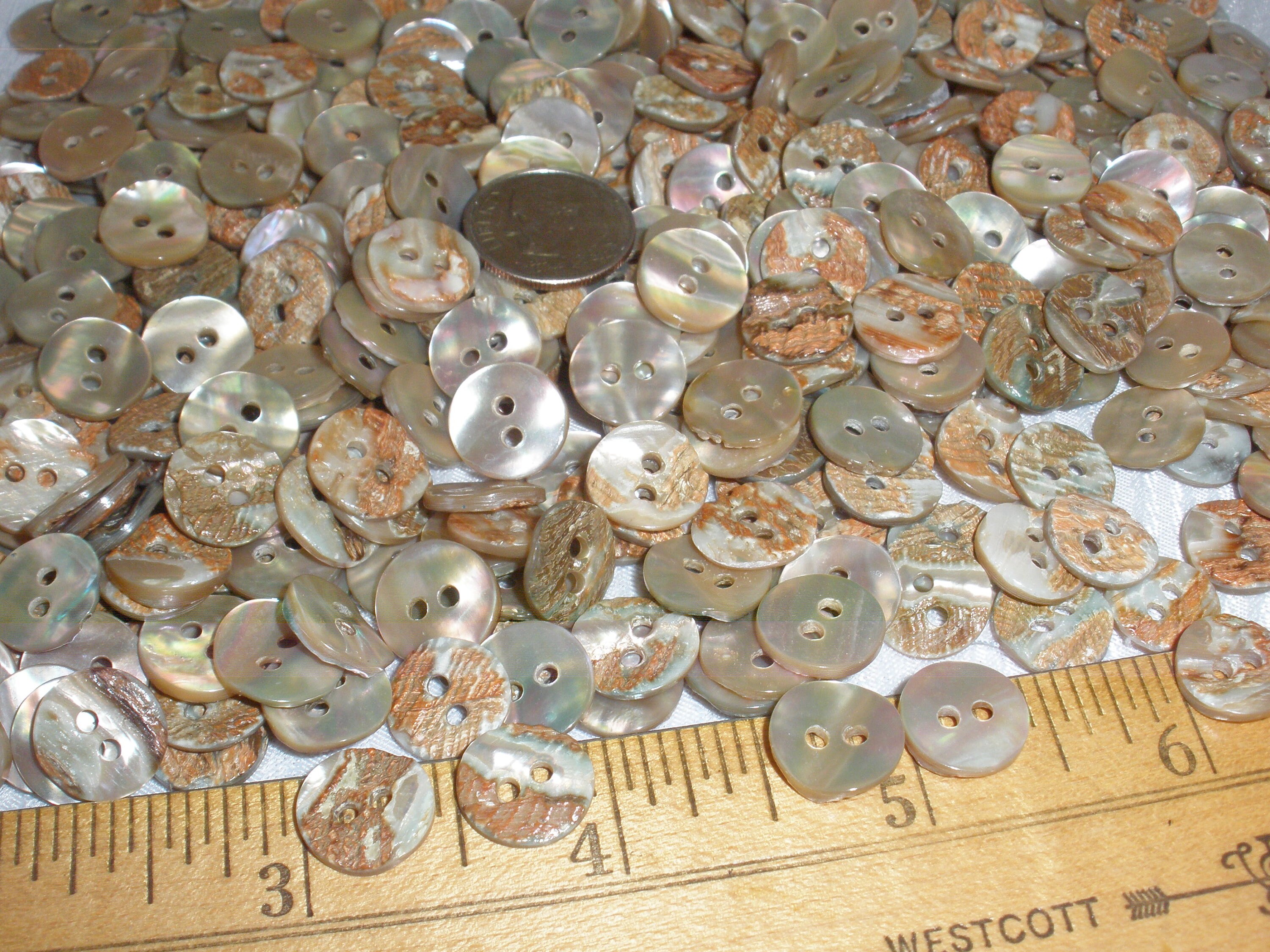 11MM Red Abalone Shell Buttons Natural 7/16" 18L Pearly Rose Rainbow ...