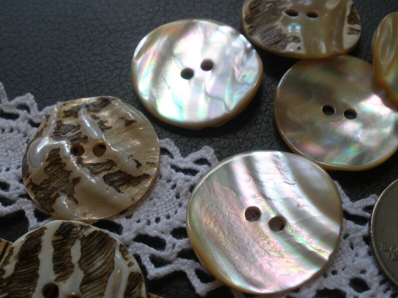 25MM Champagne Lustre Real Shell Buttons 1 Inch 40L MOP | Etsy